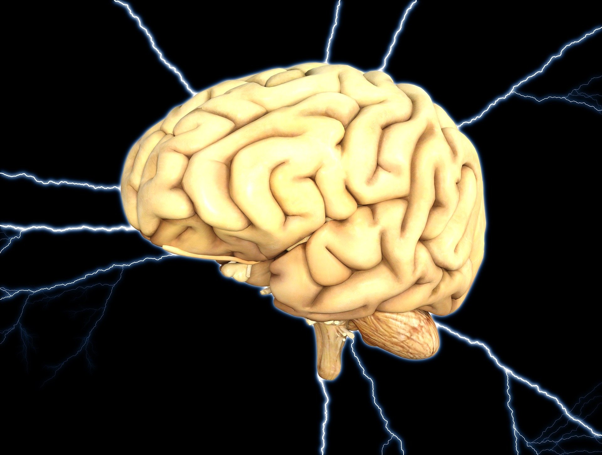 Neuromodulators - Logic Mind & Health